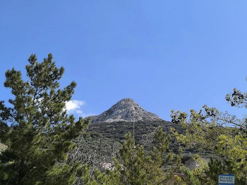 Για έναν εκπαιδευτικό - διαμάντι που έφυγε νωρίς | Alfavita
